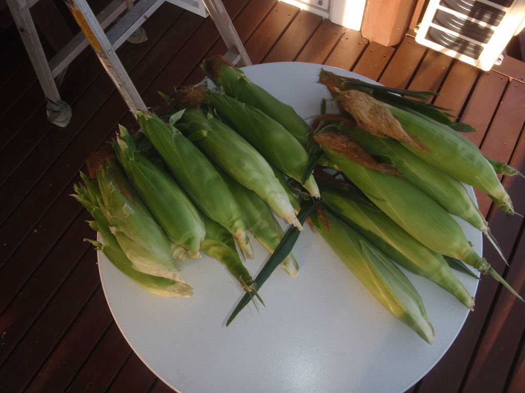 天板の穴埋め: 60才からの挑戦